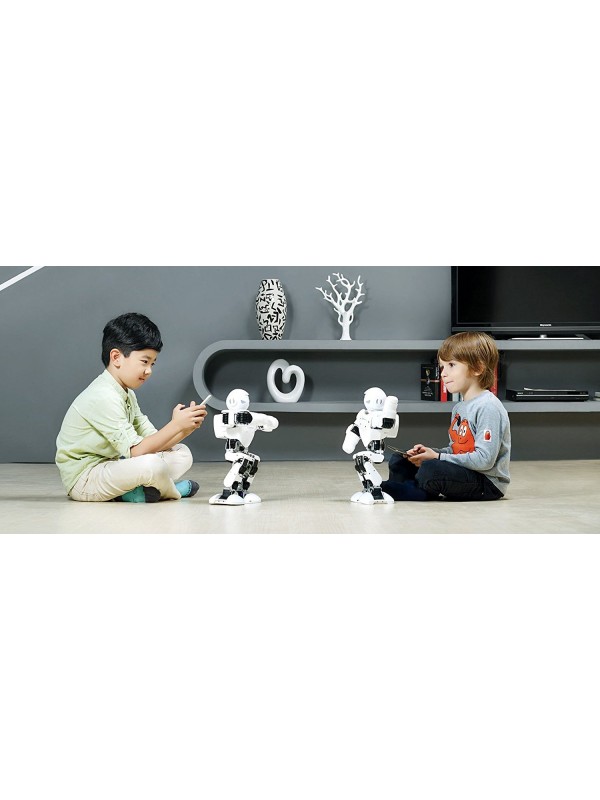 Robot Humanoïde Ubtech Alpha 1 Pro