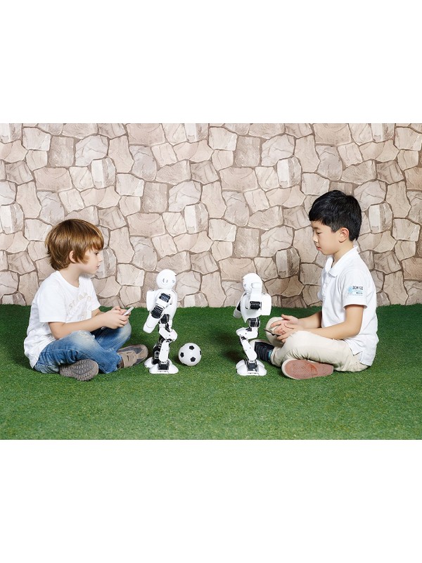 Robot Humanoïde Ubtech Alpha 1 Pro
